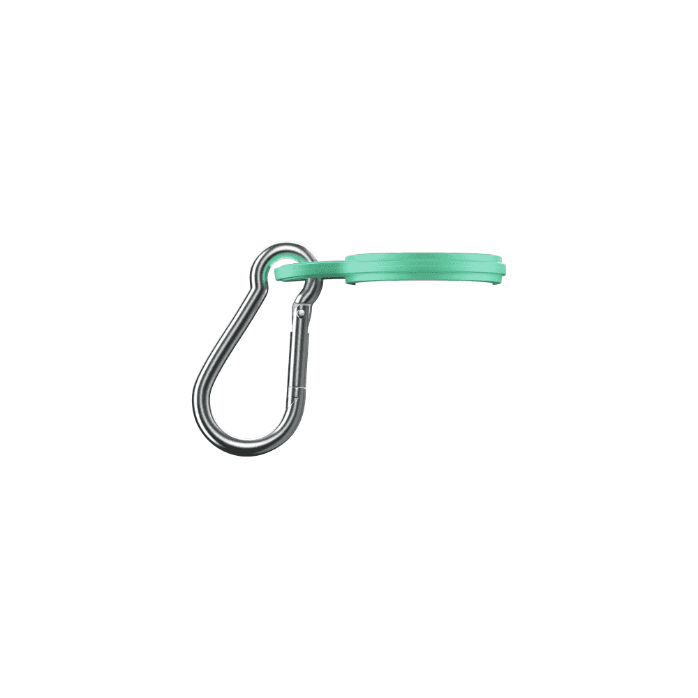 Chilly's Bottles Chilly's Pastel Green Carabiner CBCARPAGR N